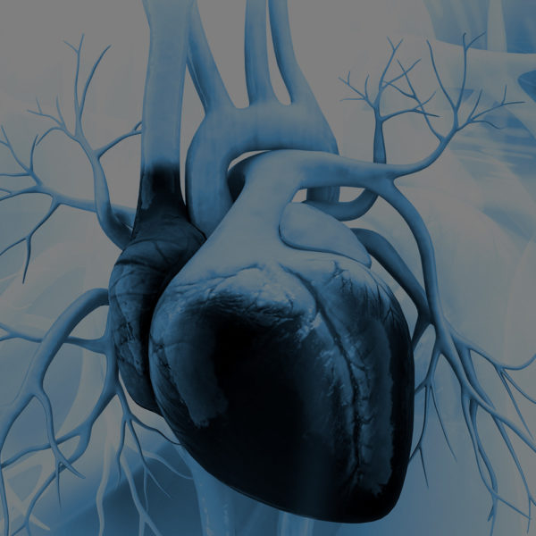 Pulse Complete Cardiac Care – Pulse Complete Cardiac Care